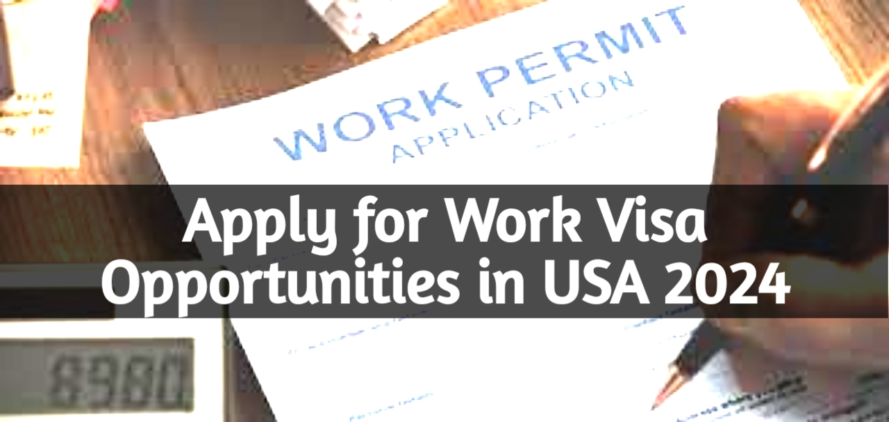USA Work Visa 2024: Guide, Eligibility and How to Apply - 13stream
